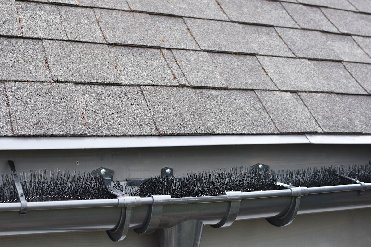 5 Types Of Gutter Guards To Consider For Better Drainage